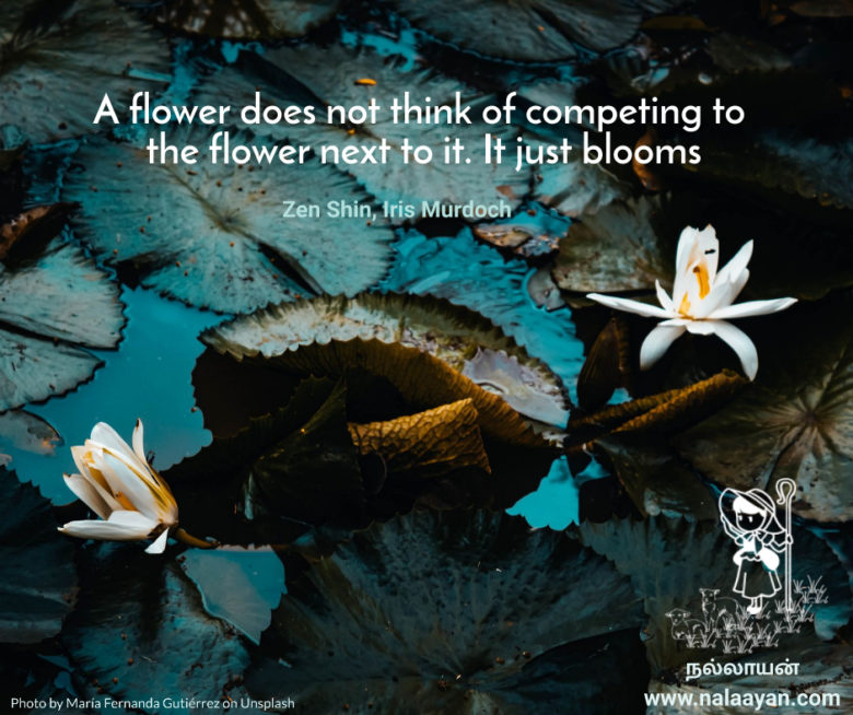 Zen Shin on Comparing - Good Shepherd