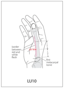 LU 10 Acupuncture Point - Acupuncture Point Locations Review