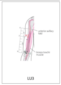 LU 3 Acupuncture Point - Acupuncture Point Locations Review