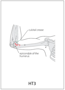 HT 3 Acupuncture Point - Acupuncture Point Locations Review