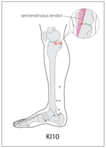 KI 10 Acupuncture Point - Acupuncture Point Locations Review
