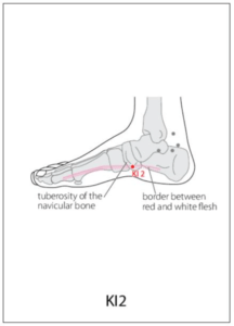 KI 2 Acupuncture Point - Acupuncture Point Locations Review