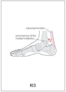 KI 3 Acupuncture Point - Acupuncture Point Locations Review