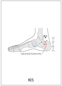 KI 5 Acupuncture Point - Good Shepherd