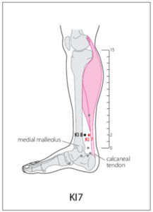 KI 7 Acupuncture Point - Acupuncture Point Locations Review