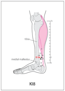 KI 8 Acupuncture Point - Acupuncture Point Locations Review