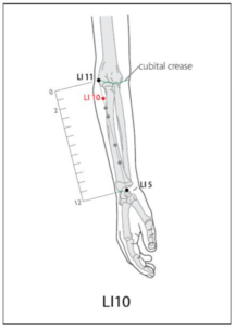 LI 10 Acupuncture Point - Acupuncture Point Locations Review