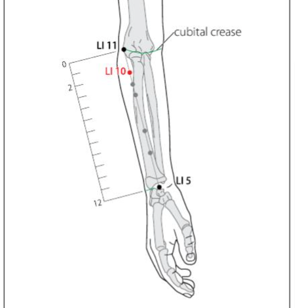 LI 10 Acupuncture Point Acupuncture Point Locations Review LI 10 Acupuncture Point Acupuncture Point Locations Review