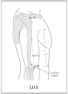 LI 13 Acupuncture Point - Acupuncture Point Locations Review