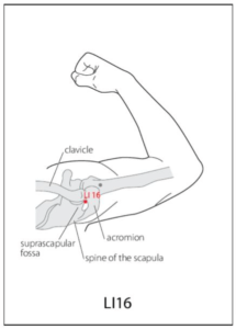 LI 16 Acupuncture Point - Acupuncture Point Locations Review