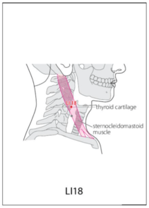 LI 18 Acupuncture Point - Acupuncture Point Locations Review