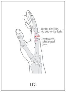 LI 2 Acupuncture Point - Acupuncture Point Locations Review