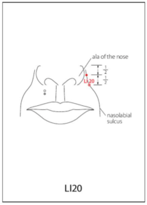 LI 20 Acupuncture Point - Acupuncture Point Locations Review