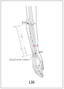 LI 6 Acupuncture Point - Acupuncture Point Locations Review