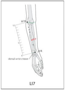 LI 7 Acupuncture Point - Acupuncture Point Locations Review