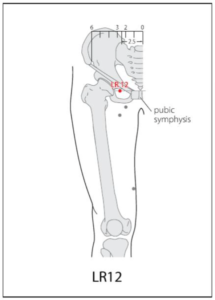 LR 12 Acupuncture Point - Acupuncture Point Locations Review