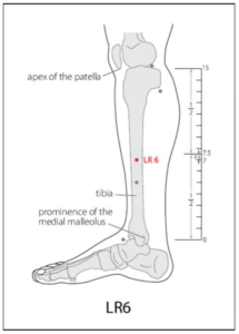 LR 6 Acupuncture Point - Acupuncture Point Locations Review