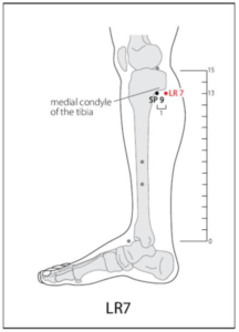 LR 7 Acupuncture Point - Acupuncture Point Locations Review