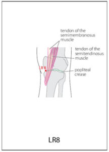 LR 8 Acupuncture Point - Acupuncture Point Locations Review