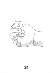 SI 1 Acupuncture Point - Acupuncture Point Locations Review