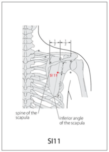 SI 11 Acupuncture Point - Acupuncture Point Locations Review