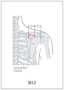 SI 12 Acupuncture Point - Acupuncture Point Locations Review