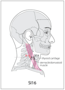 SI 16 Acupuncture Point - Acupuncture Point Locations Review