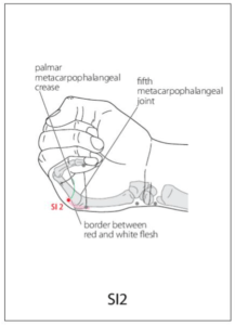 SI 2 Acupuncture Point - Acupuncture Point Locations Review