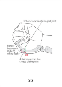 SI 3 Acupuncture Point - Acupuncture Point Locations Review
