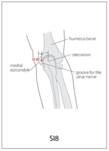 SI 8 Acupuncture Point - Acupuncture Point Locations Review