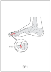 SP 1 Acupuncture Point - Acupuncture Point Locations Review