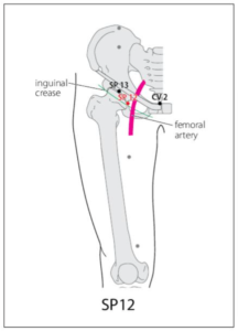 SP 12 Acupuncture Point - Acupuncture Point Locations Review
