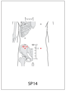 SP 14 Acupuncture Point - Acupuncture Point Locations Review