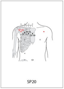 SP 20 Acupuncture Point - Acupuncture Point Locations Review