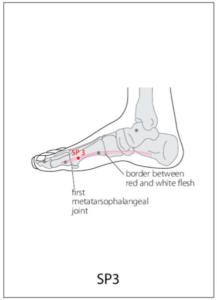SP 3 Acupuncture Point - Acupuncture Point Locations Review