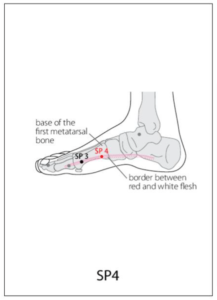 SP 4 Acupuncture Point - Acupuncture Point Locations Review