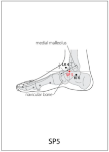 SP 5 Acupuncture Point - Acupuncture Point Locations Review