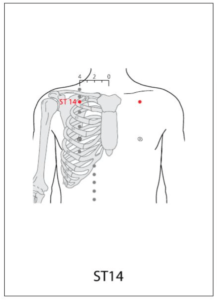 ST 14 Acupuncture Point - Acupuncture Point Locations Review