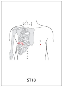 ST 18 Acupuncture Point - Acupuncture Point Locations Review