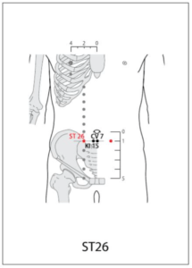 ST 26 Acupuncture Point - Acupuncture Point Locations Review