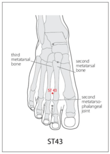 ST 43 Acupuncture Point - Acupuncture Point Locations Review