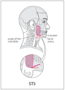 ST 5 Acupuncture Point - Acupuncture Point Locations Review
