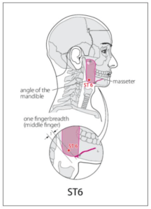 ST 6 Acupuncture Point - Acupuncture Point Locations Review