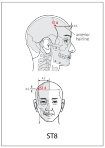 ST 8 Acupuncture Point - Acupuncture Point Locations Review