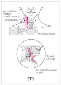 ST 9 Acupuncture Point - Acupuncture Point Locations Review