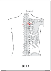 BL 13 Acupuncture Point - Acupuncture Point Locations Review