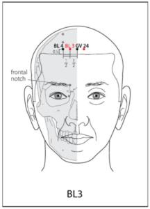 BL 3 Acupuncture Point - Acupuncture Point Locations Review