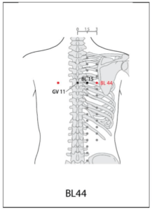 BL 44 Acupuncture Point - Acupuncture Point Locations Review