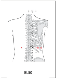 BL 50 Acupuncture Point - Acupuncture Point Locations Review