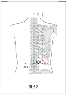 BL 52 Acupuncture Point - Acupuncture Point Locations Review